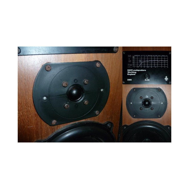 REPLACEMENT DIAPHRAGM Bowers and wilkins B&W TW20/TW 20 - 8 OHM DM5